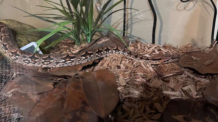 Customer Review Gallery - LayneLabs.com