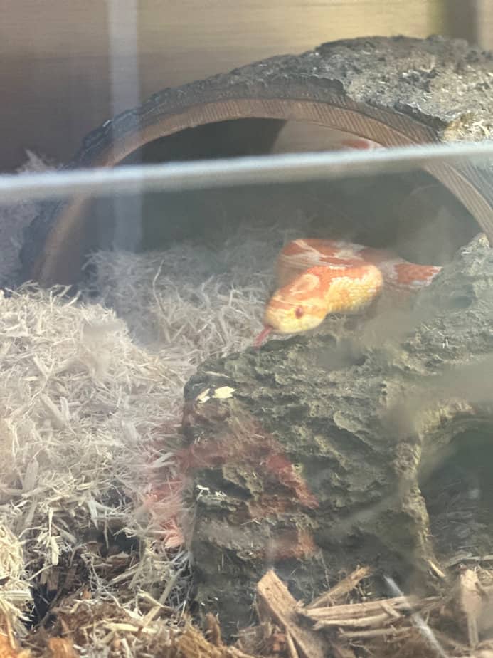 Customer Review Gallery - LayneLabs.com